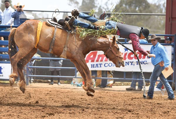 Makawao Stampede wraps up | News, Sports, Jobs - Maui News